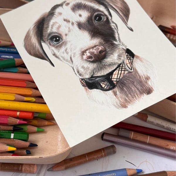 Pet Portrait Drawing Commission - Capture Your Beloved Pet's ...