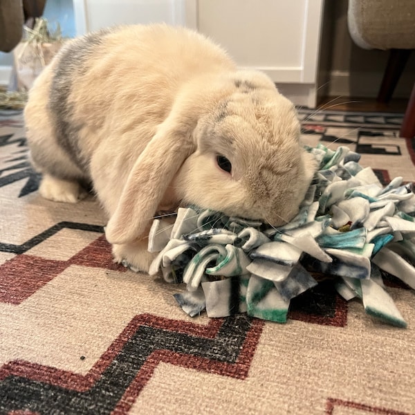 Seagrass Enrichmat™ | Snuffle Mat | Foraging & Enrichment Mat | Well ...