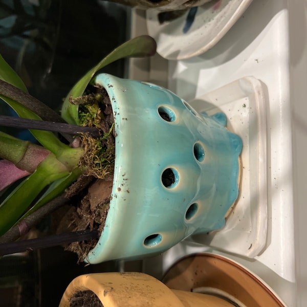 Cremation Jar With Lid, Wheel-thrown Large Jar, Urn for Pet Ashes ...