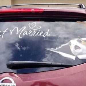 Sheep car decal funny car decal farm decal sheep sticker | Etsy