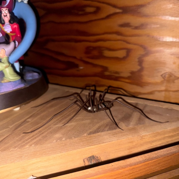 Giant Plastic Spider as Decoration | Double Sized Realistic Giant House ...