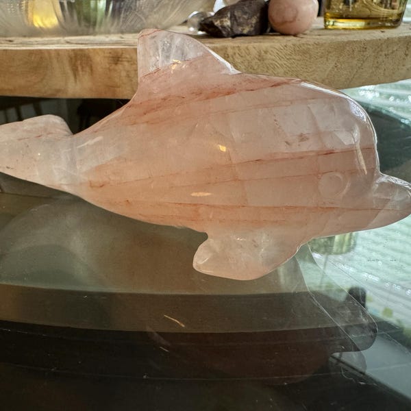 A Variety Box of Crystal Mini Skulls - Etsy