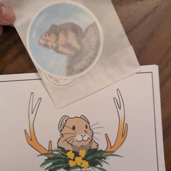 Protect the Pikas Vinyl Sticker! Conservation Sticker, for Wildlife ...