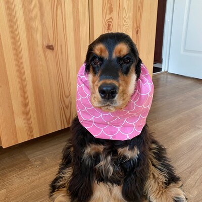 Cacao Breathable Muslin Dog Snood Cocker Spaniel Cotton Summer Snood ...