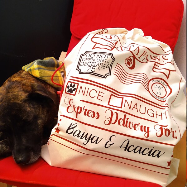 Santa Paws Santa Sack, Pet Santa Bag, Drawstring Sack , Delivery Bag ...