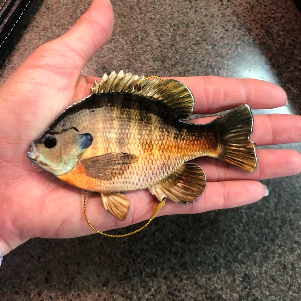 Bluegill Replica Driftwood Scene Rustic Home Decor, 2D Flat Metal, Lake ...