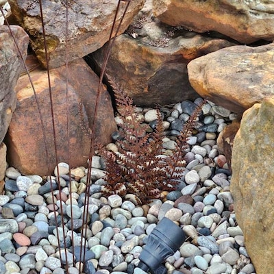 24 Long Side Mount Metal Security Fence Wall Spikes Anti-climb Fence ...