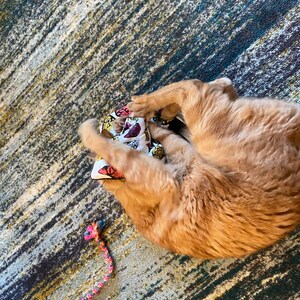 Pico De Gato - 1oz Resealable Package of Super Potent Catnip #16100 - Etsy