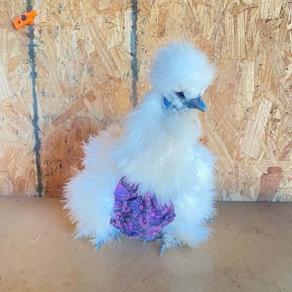 Chicken Diaper Medium Stylish Chicken Diaper- Larger Bantam Poultry or ...
