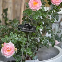 All Weather Tags for Trees or Shrubs | Custom Engraved UV Resistant ...