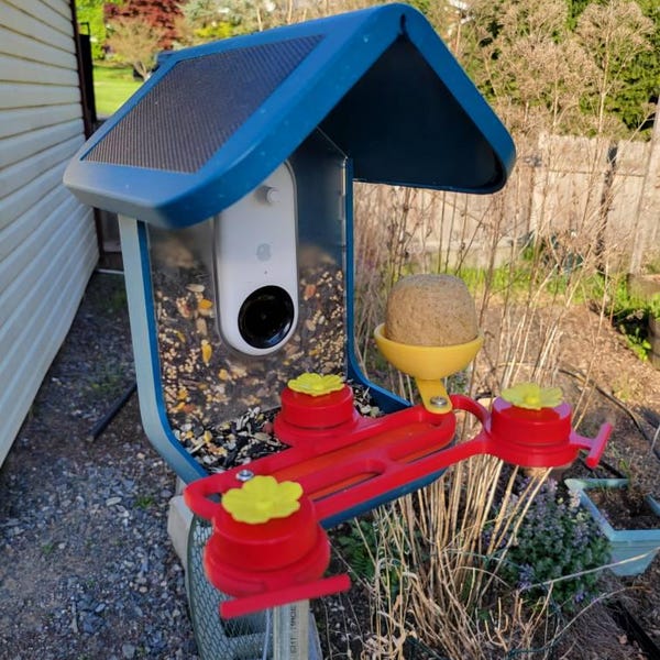 Bird Buddy Accessory Extender - Etsy