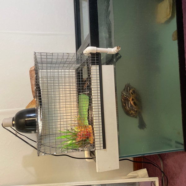 19" Wide X 18" Long X 10'" Tall Basking Turtle Aquarium Tank Topper ...