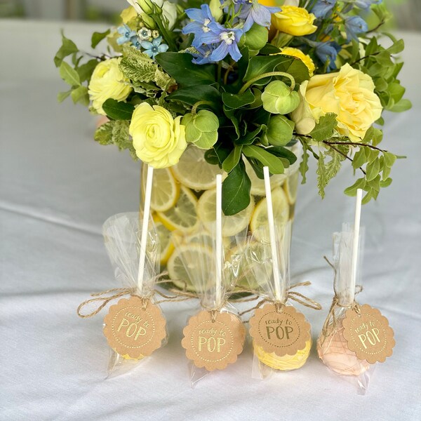 Set of 10 Ready to POP Gift Tags-bags-handmade-hand Stamped--baby ...