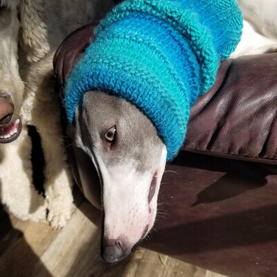 Dog Snood Knitting Pattern, PDF Instant Download, Knitted Dog Hat ...