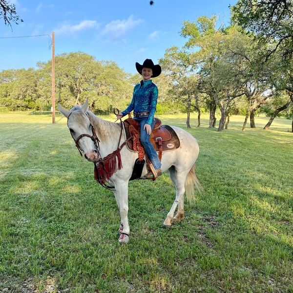 Faded Glory America Western Rodeo Stretch Show Shirt Rail Jacket ...