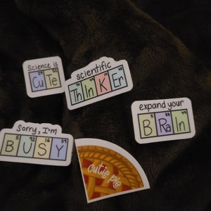 The Wild Robot Die Cut Vinyl Sticker Roz and Brightbill - Etsy