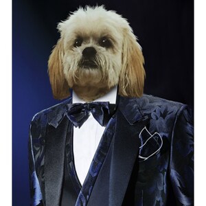 Custom Pet Portrait in Suit . Custom Animal Portrait in Suit . Custom ...