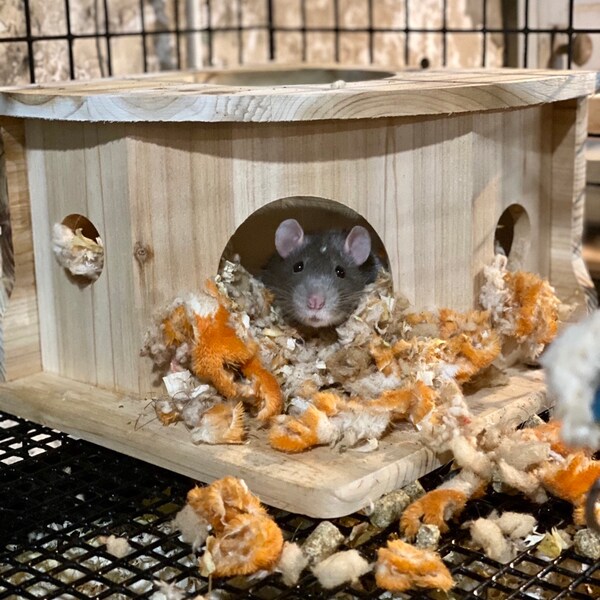 Corner Wood House for Chinchilla Rat - Etsy
