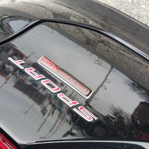 Gel Coated domed FORD Ecobeast AWD or Twin Turbo AWD Emblem Overlay ...
