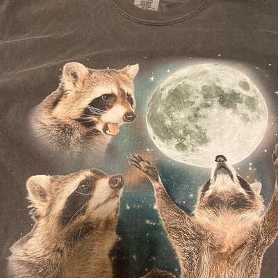 Frog 90s Vintage Graphic Shirt, Nostalgia Toad Tee, Nature Shirt, 2000s ...