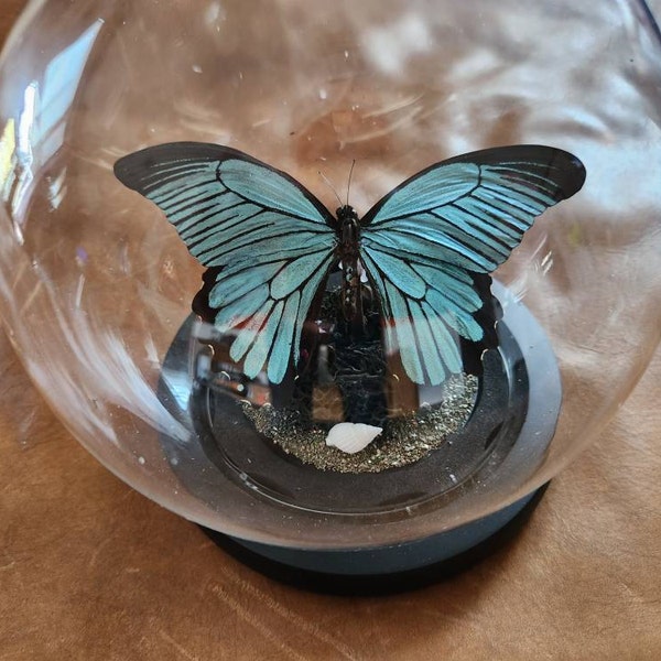 Handmade Butterfly Frame With Natural Mineral Powder---"shimmering ...