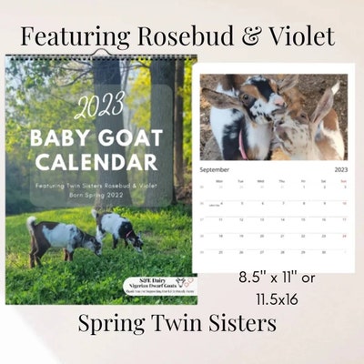 Goat Milk Testing Guidebook, Step by Step DHI Milk Testing Book ...