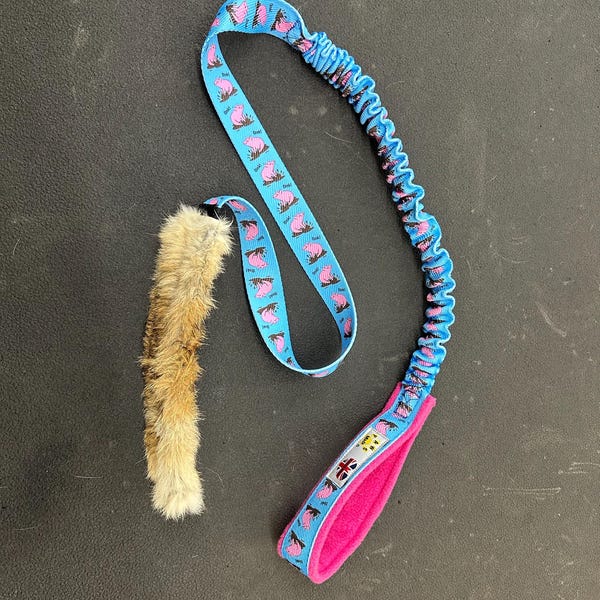 Paws Made Standard Rugby Ball With Luxury Bungee Handle Dog Agility ...