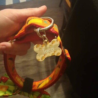 Taco Dog Tag, Double Sided Dog Tag, Taco Cat Tag, Blue Dog Tag, Funny ...