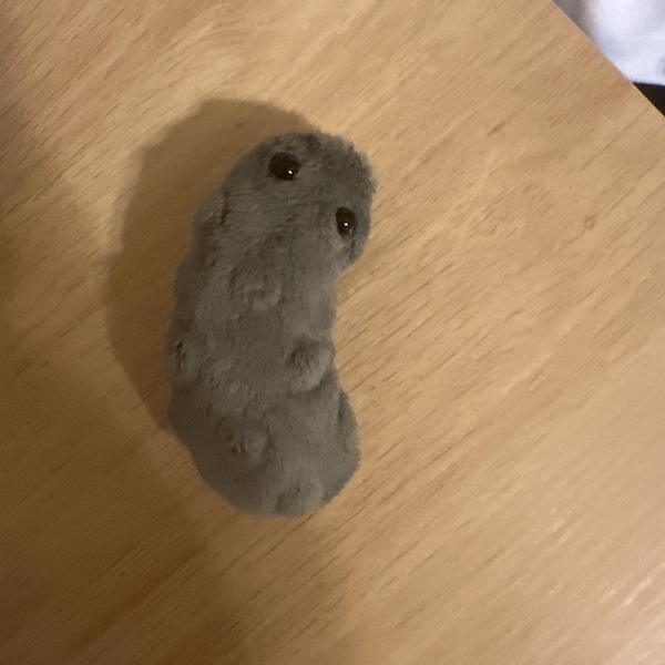 Pocket Pickle Sensory Comfort, Emotional Support Pickle Pet, Autism Toy ...