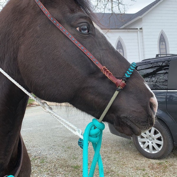 Lariat Bosal With Braided Nose and Heel Knot - Bosal Only - Etsy