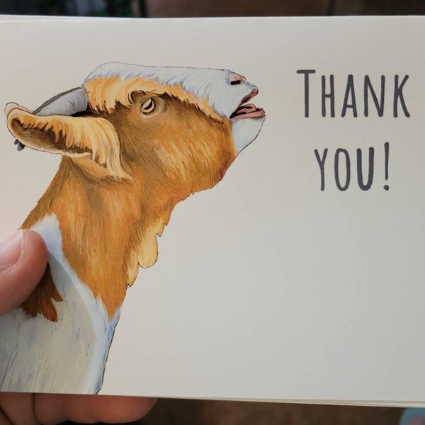 Cute Donkey Thank You Note Card Set - Appreciation Cards - Thank You ...