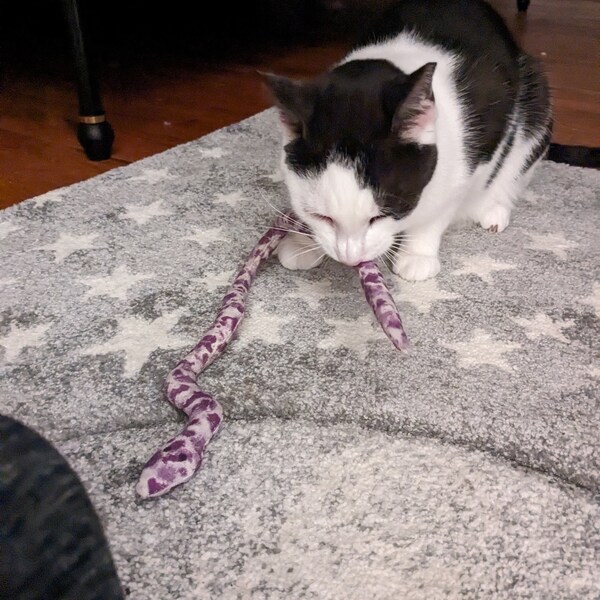 Cat Toy-catnip Filled Snake Shaped-catlover Gift-catlady-cat Mom-cat ...