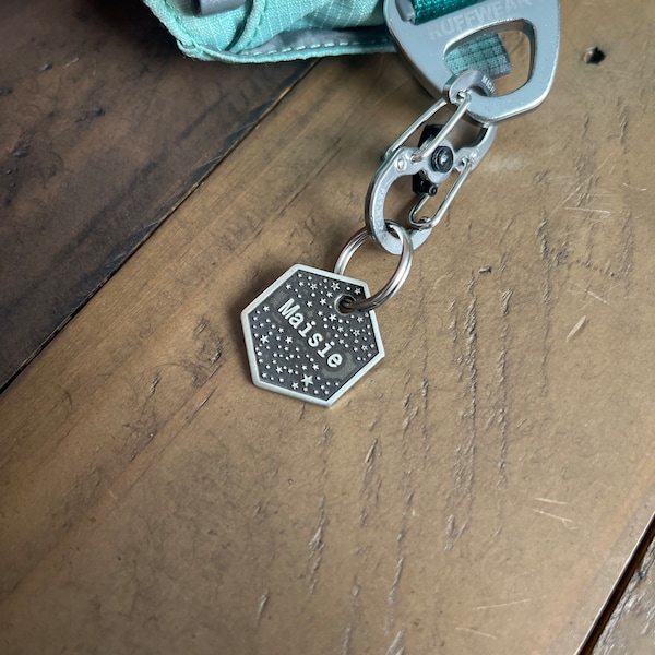 Luna Dog Tag, Pet ID Tag, Personalized Dog Tag, Microchip Pet Tag ...