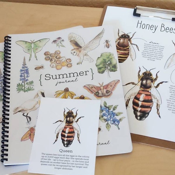 The GARDEN Notebook - Homeschool Printable Nature Study Charlotte Mason ...