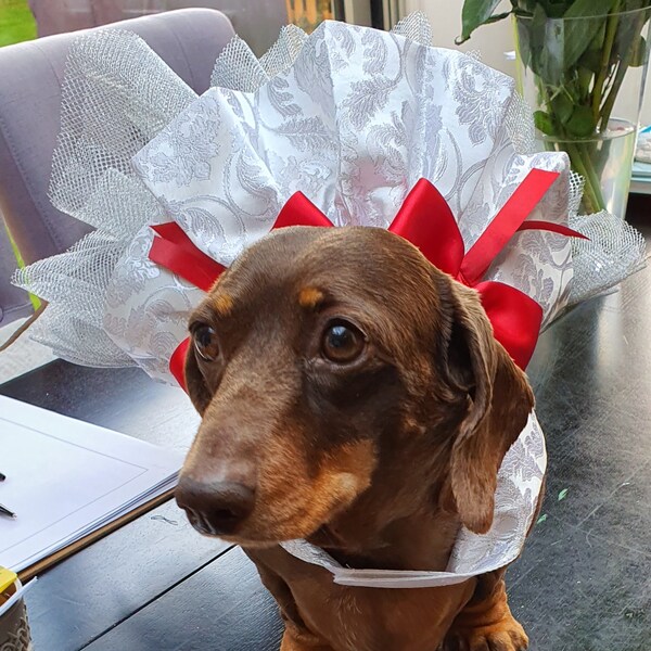 Zilveren brokaat feestjurk - Etsy België