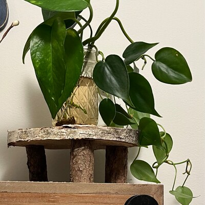 Pinewood Floating Shelves Set of 2 You Choose Stain Color - Etsy