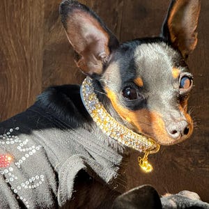 Real Rhinestone Bling Dog Collar 1 Grey Satin Four Sparkling Rows of ...