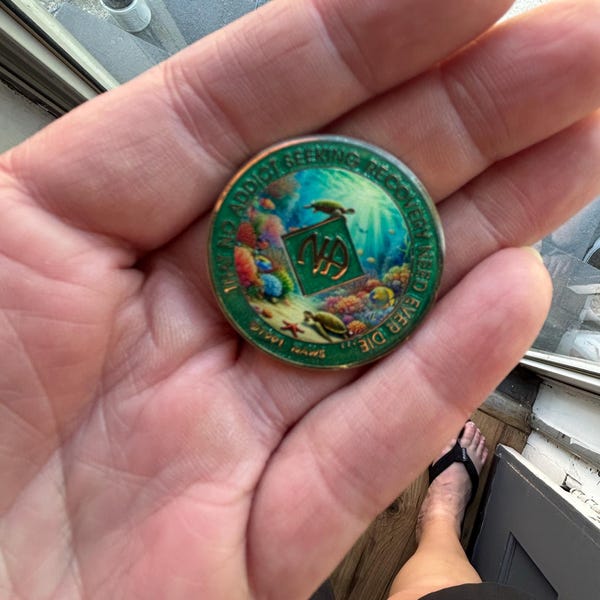 Limited Edition Narcotics Anonymous Medallion | Custom NA Coin for ...