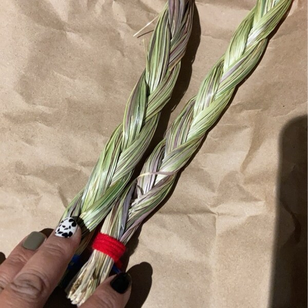 10 Freshly Braided Sweetgrass Braids . Sweetgrass. Hierochloe Odorata ...