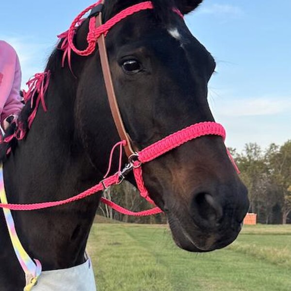 Bit Hobble, Curb Strap, Chinstrap, Horse Tack, Paracord Horse Tack ...