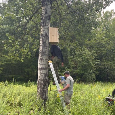 Barn Owl Nesting Box Kit - Etsy
