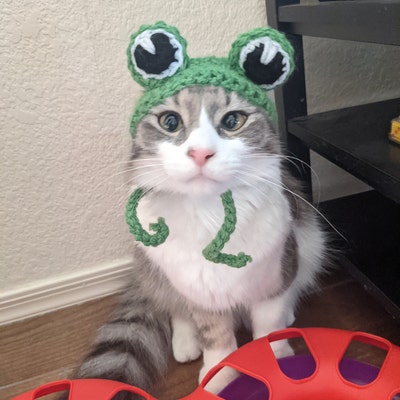 Frog Hat for Cats, Funny Feline Frog Accessory / Costume, Frog Hat With ...