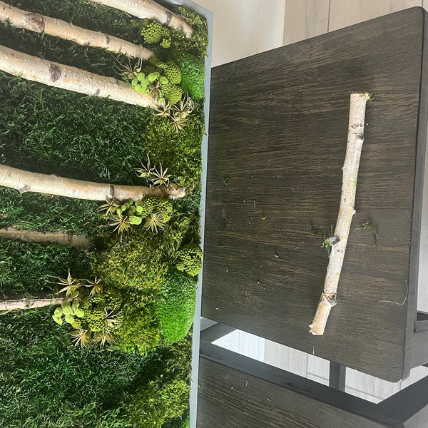 Delightful LED Lights Preserved Moss Wall Art Live Moss LED Home Décor ...