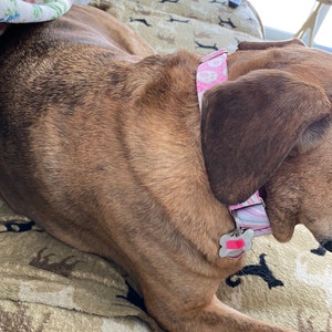 Pink & Purple Patchwork Dog Collar Unique One of a Kind 1 | Etsy