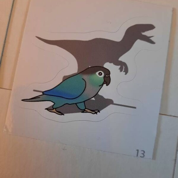 T-rex Hahn's Macaw T-shirt, Funny Parrot Owner Tee, Birb Memes Clothes ...