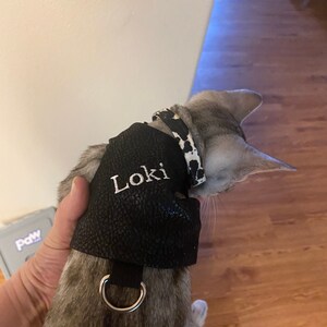 Safetykatz Walking Jacket Crocodile Custom Made Cat - Etsy