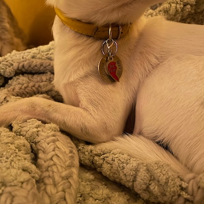 Guardian Angel Pet Tag in Gold Finish Guardian Angel Dog Tag Pet ID Tag ...