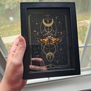 Real Atlas Moth Shadow Box Frame Framed Attacus Atlas Moth - Etsy