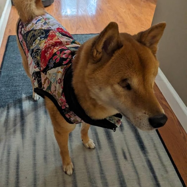 Dog Coat Pattern, Dog Vest Sewing Pattern, Sewing Pattern Pet, Pattern ...