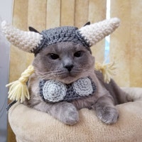 Brunhilde Vikings Valkyries Wagner Opera Hats for Cats - Etsy Canada